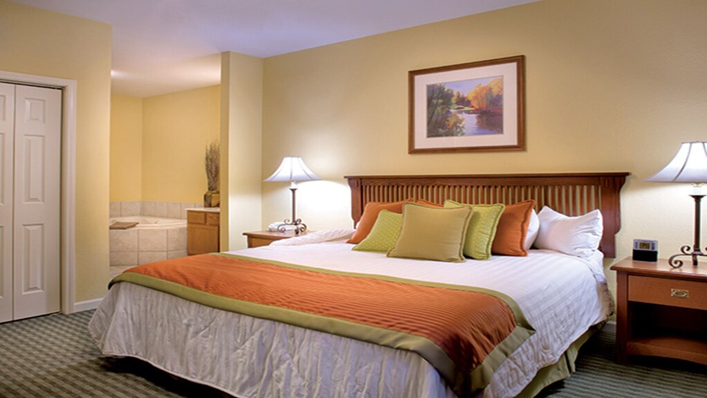 Smoky Mountains 1 Bedroom Deluxe - 세비어빌