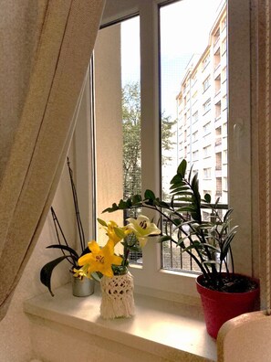 Terraço/pátio interior