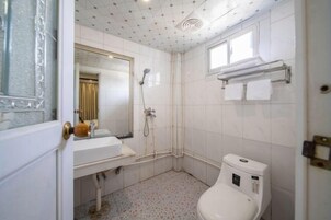 Casa de banho pequena e limpa, com sanita, lavatório e chuveiro.