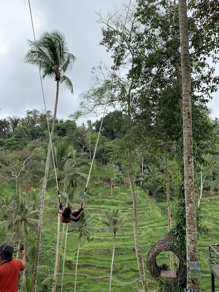 Ubud Tour And Waterfall - Bali