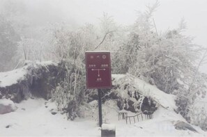 Imagem não classificada, 2 de 10, botão