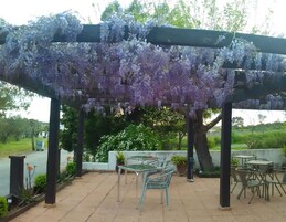 Terraço/pátio interior