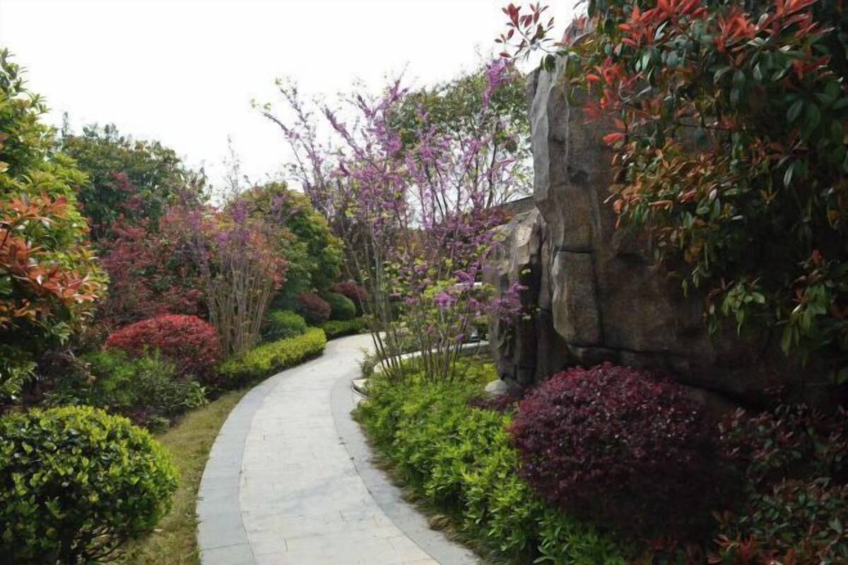 Um caminho sinuoso em um jardim ajardinado, com arbustos e árvores diversos.