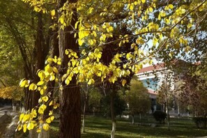 Pormenores do exterior