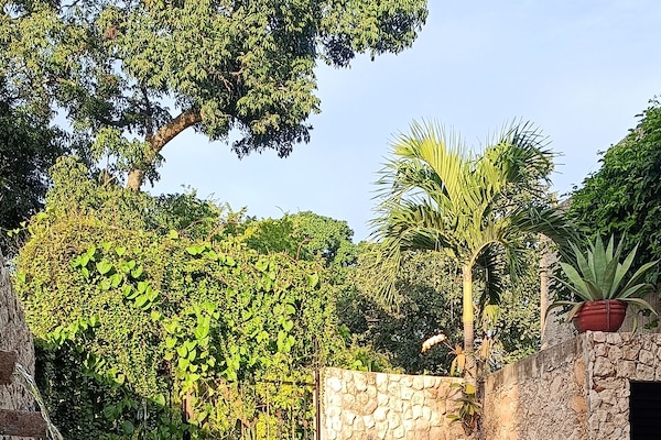 Piscina exterior, espreguiçadeiras