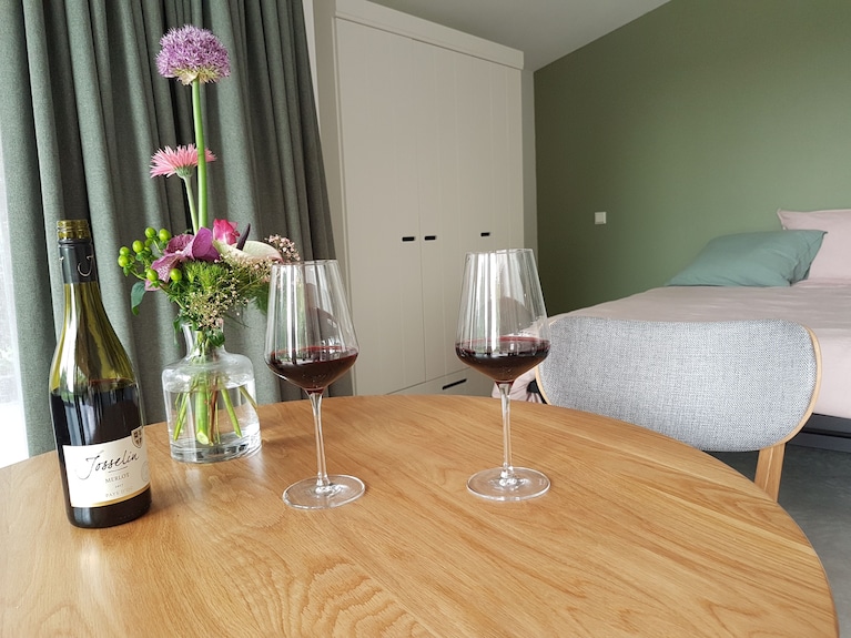 Romantic Studio Apartment With Unobstructed View And Near The Beach, Dunes, Amsterdam. - Heiloo
