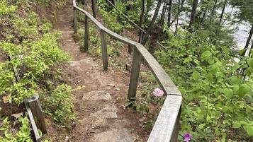 Uma escadaria de madeira que desce até um corpo d'água, rodeada por vegetação densa e árvores.