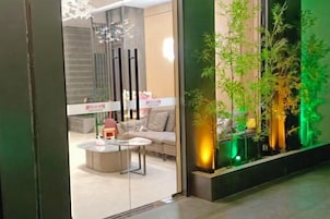 Decoração moderna com sofá, mesa de centro e plantas decorativas.