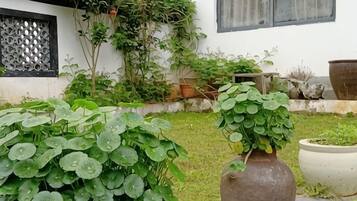 Um jardim com diversas plantas, um vaso grande e uma janela com um painel decorativo.