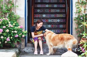 Terrenos do alojamento