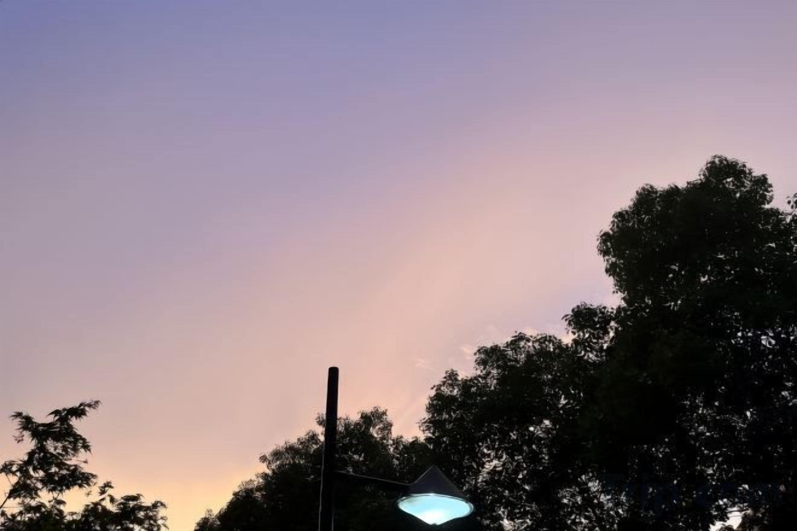 Um poste de luz contra um céu crepuscular, com silhuetas de árvores.