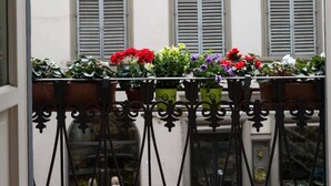 Varanda com floreiras e um prédio com várias janelas ao fundo.