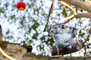 Pormenores do interior