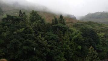 Campos em socalcos, floresta densa e atmosfera nevoenta.