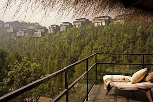 Cortinas blackout, Wi-Fi de cortesia