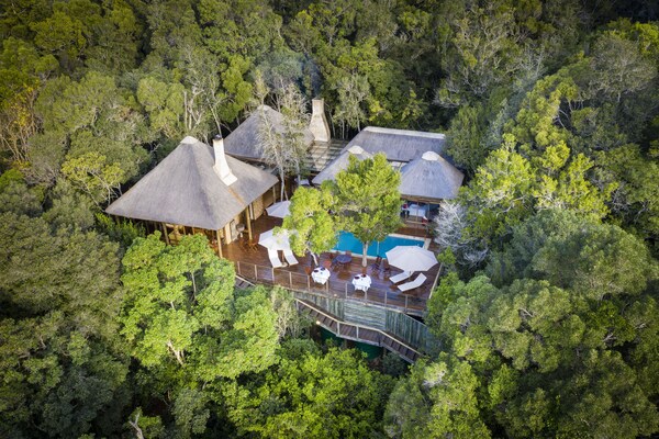 Trogon House And Forest Spa - Western Cape