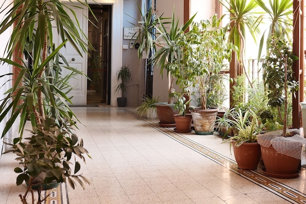 Entrada do alojamento