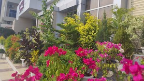 Um edifício moderno com varanda e diversos vasos de plantas e flores.