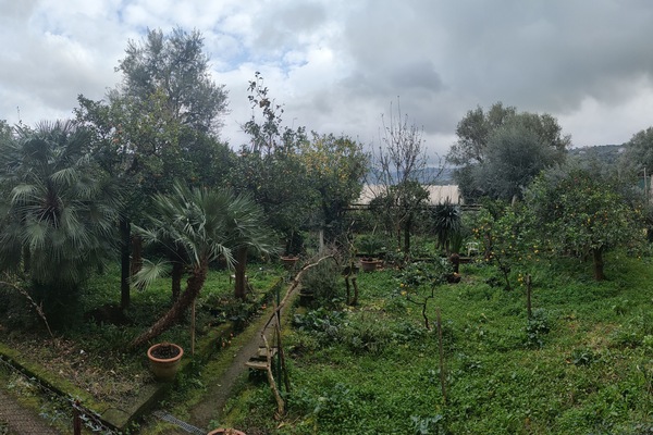 Camera Deluxe (Rubino/Smeraldo) | 1 quarto, minibar, cofre no quarto, secretária