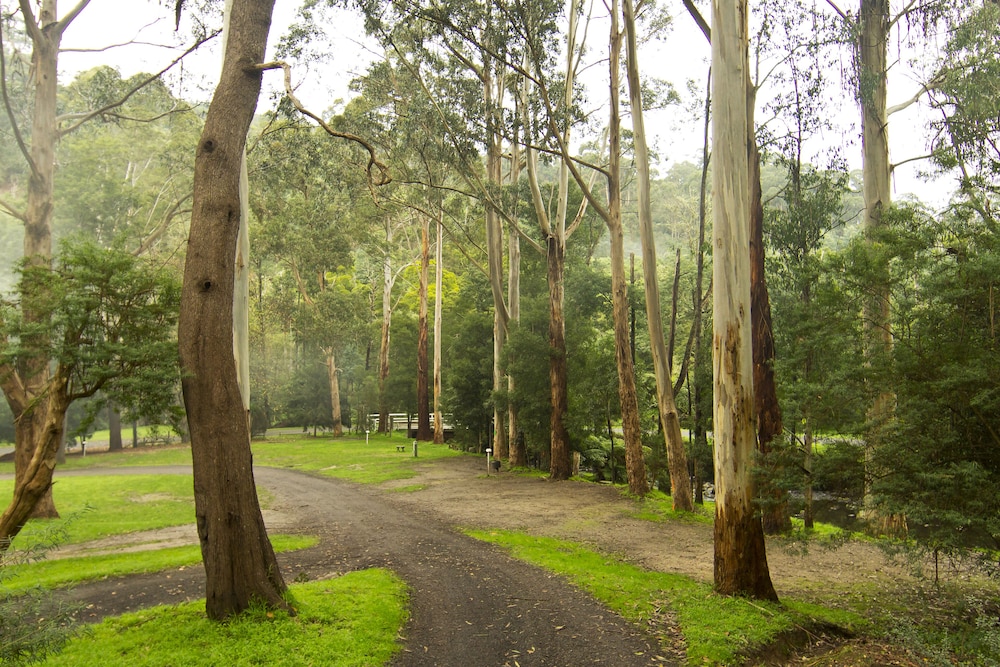Tarra Valley Retreat - Gippsland