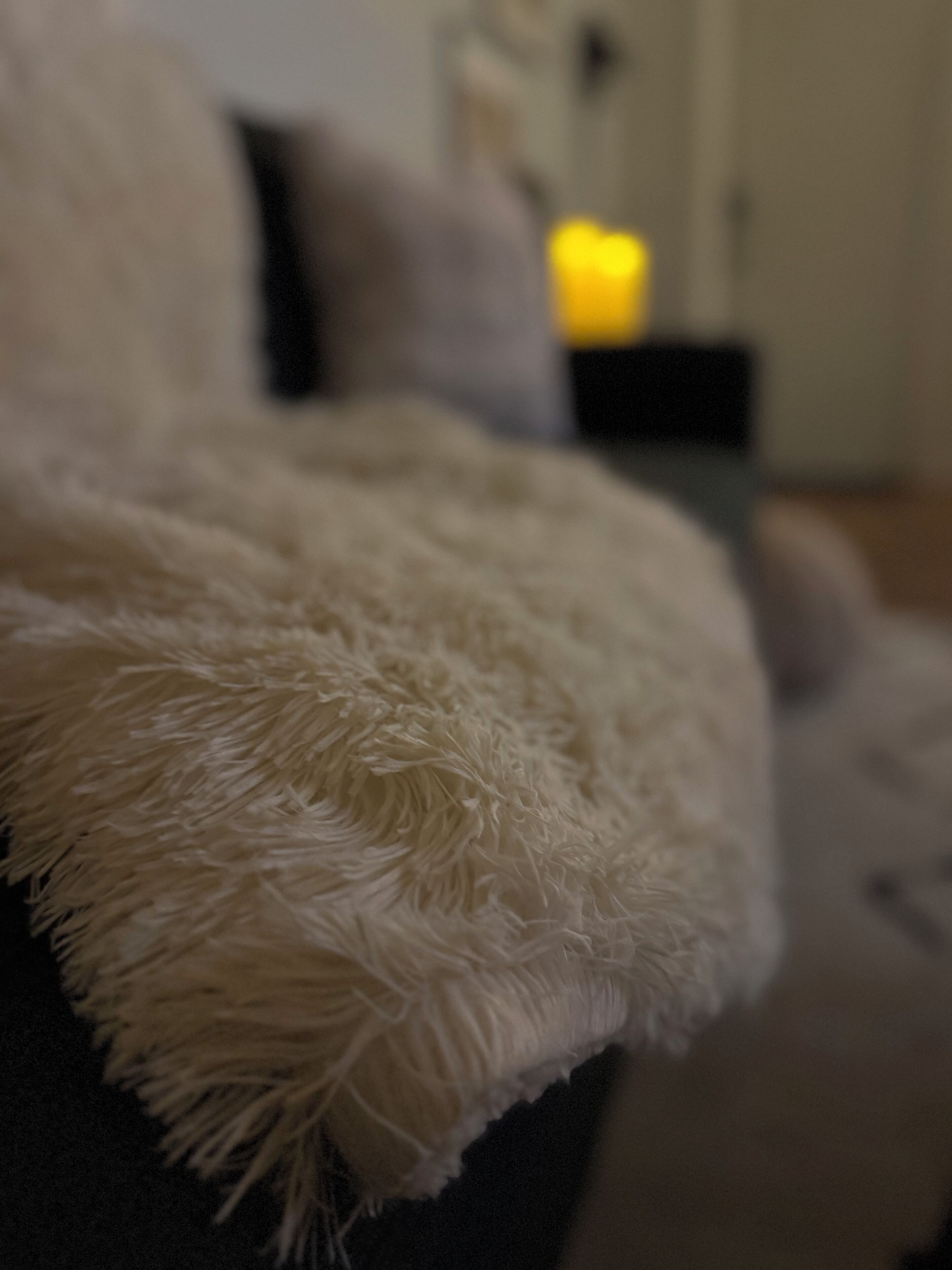 Limited Nights Open Luxe, Cozy & Poolside Magic - Lake Mary