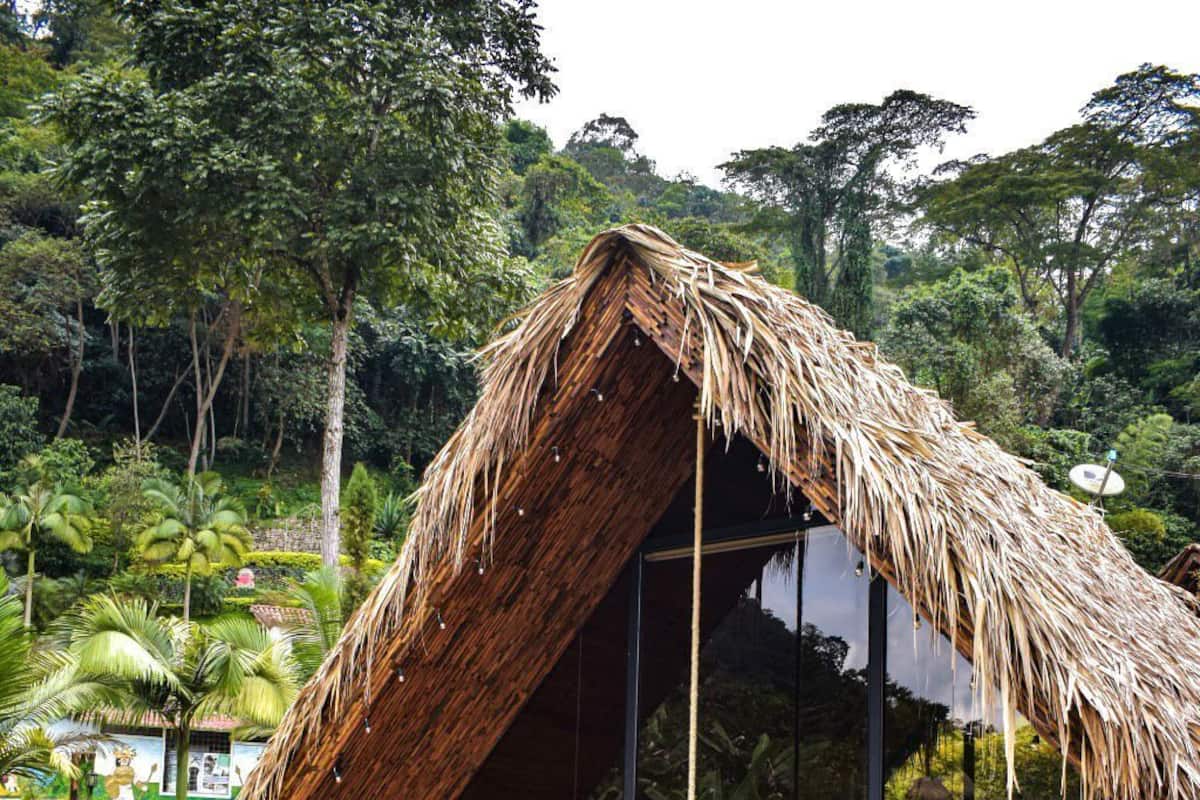 Uma construção com telhado de palha e uma grande janela de vidro, rodeada por vegetação tropical.