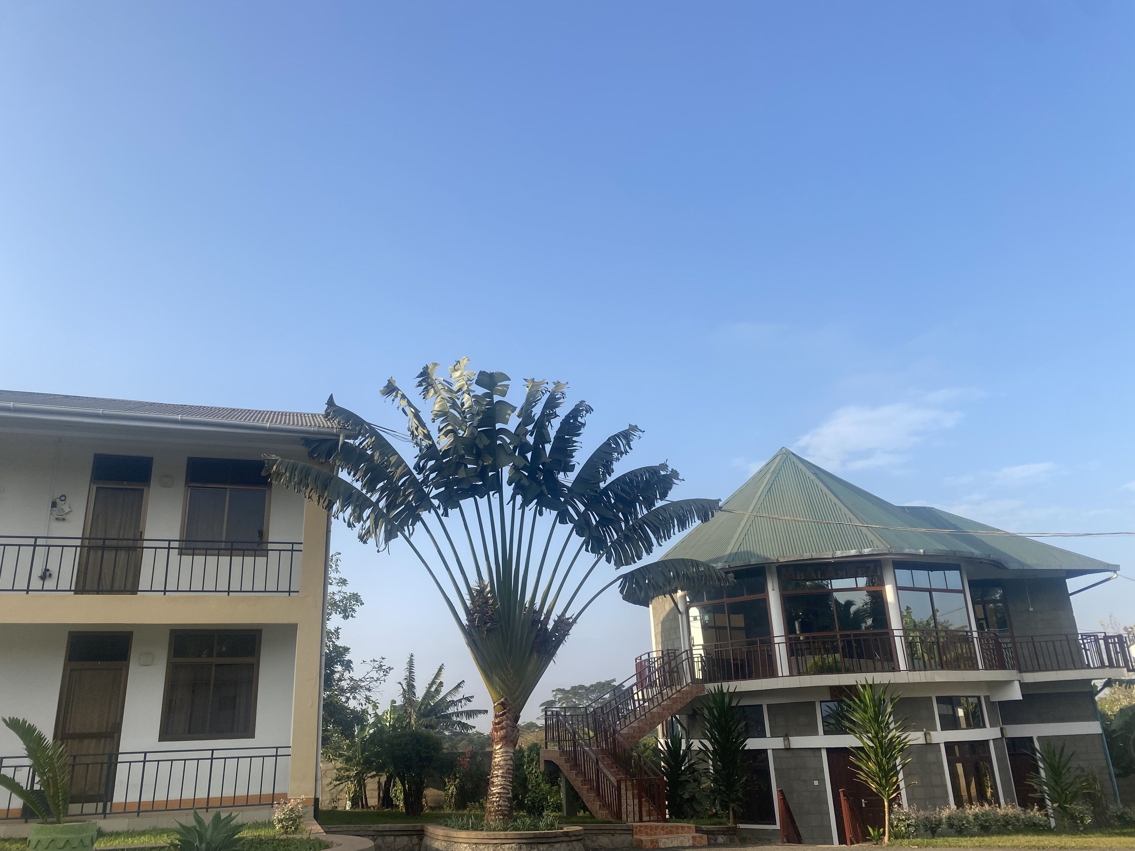 Quarto solteiro, 1 quarto | Terraço/pátio