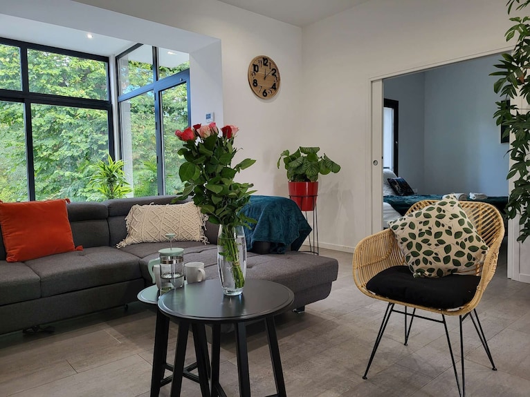 Splendid Villa: Spa & Billiards & Air Hockey Access To Rer 35 Min From Paris - 安東尼