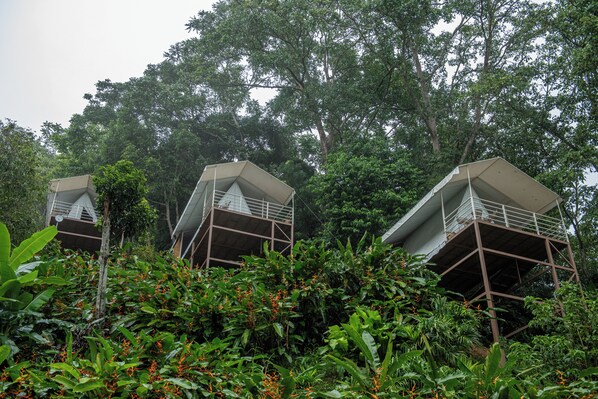 Três estruturas em estilo de casa na árvore, elevadas e rodeadas por vegetação tropical densa.