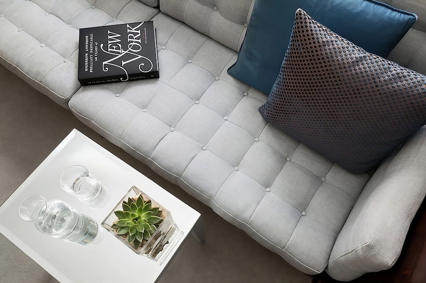 City Lights Delight, Times Square Luxury, Bring Your Fur Babies! - New York City