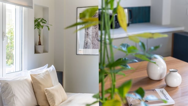 Quarto de hotel moderno com uma cama, um vaso de plantas e uma mesa de madeira com vasos e um livro.
