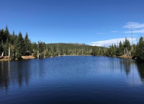 Um lago tranquilo rodeado por floresta densa.