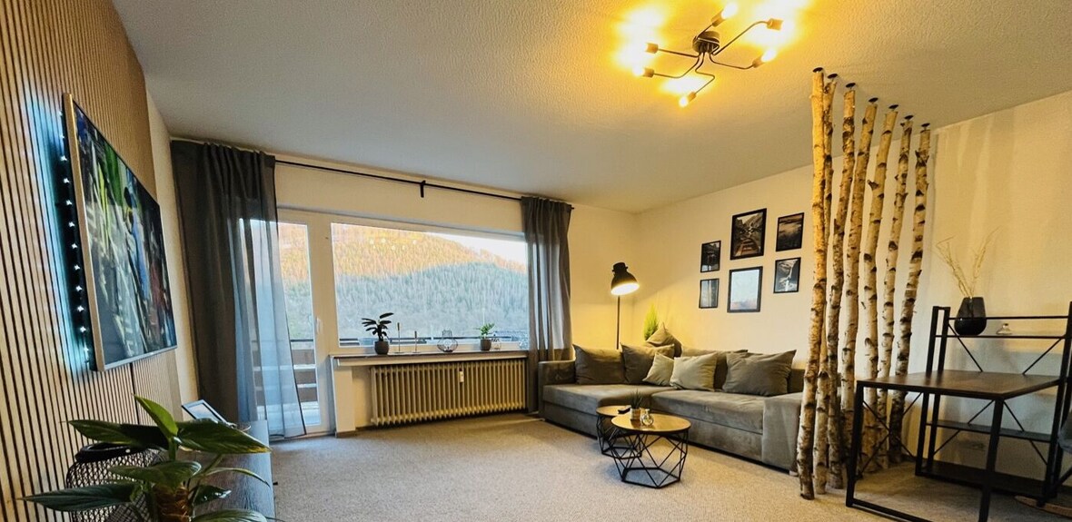 Ferienwohnung (62qm) Im Erdgeschoss Mit Balkon Und Wlan - Bad Berleburg