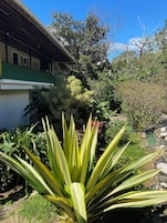 Quarto casal standard | Vista para o jardim