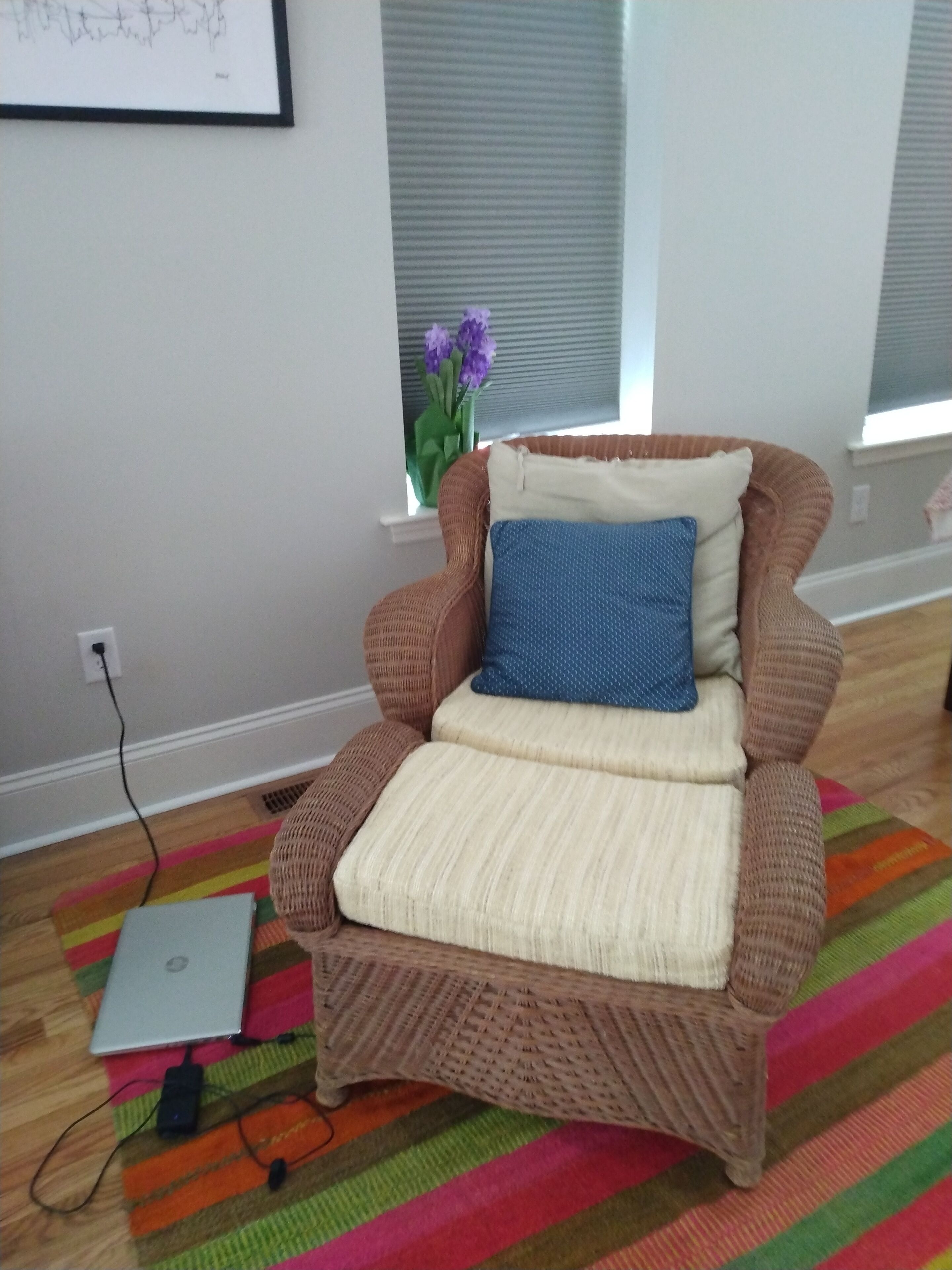 Federal Hill - Central, Fully Renovated Townhouse. Close To Restaurants And Bars - Essex, MD