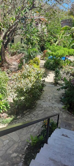 Vista para o jardim
