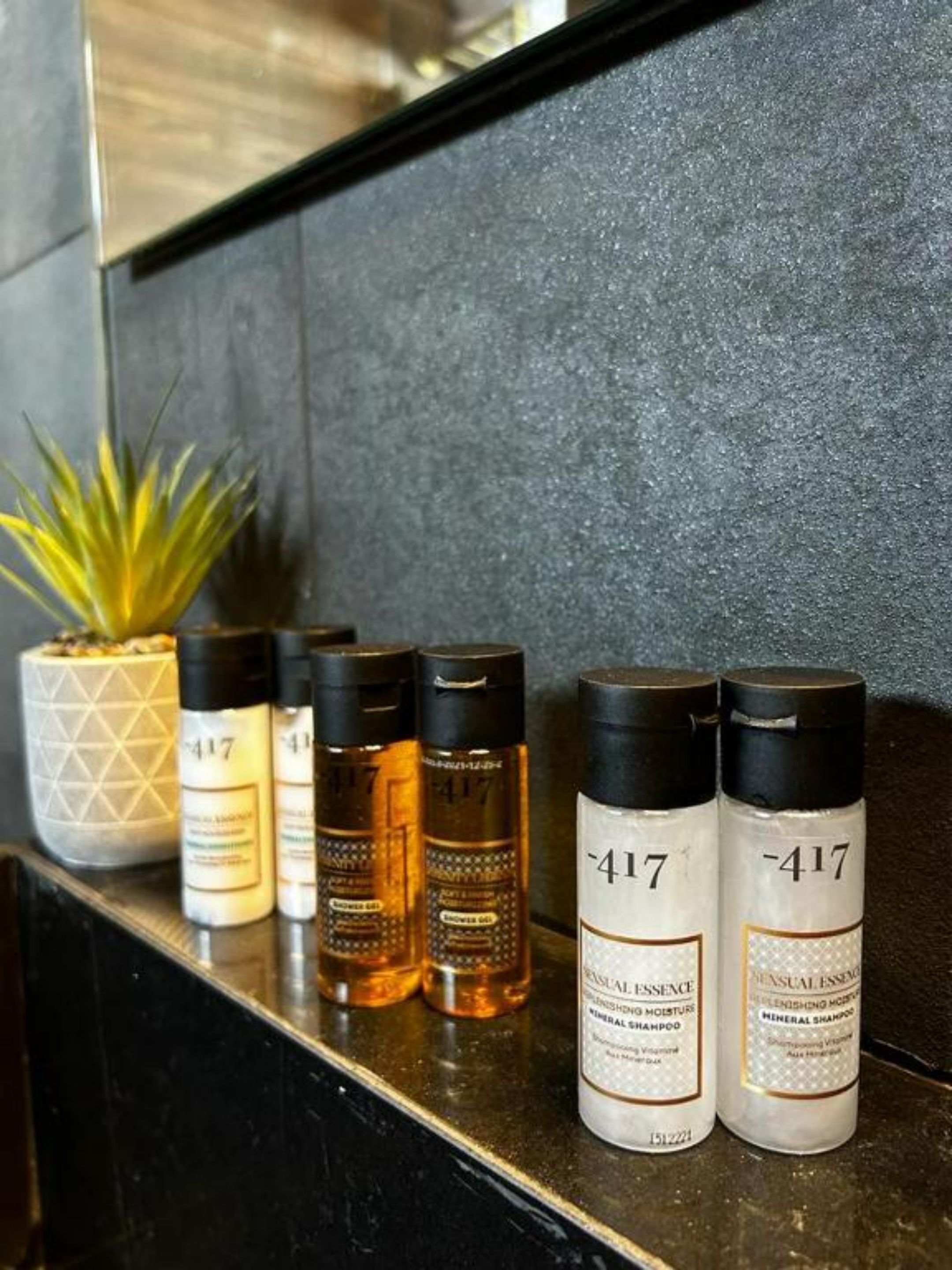 Uma prateleira com diversos produtos para cabelo, incluindo duas garrafas com a etiqueta número 417, uma pequena planta em vaso e um objeto decorativo.