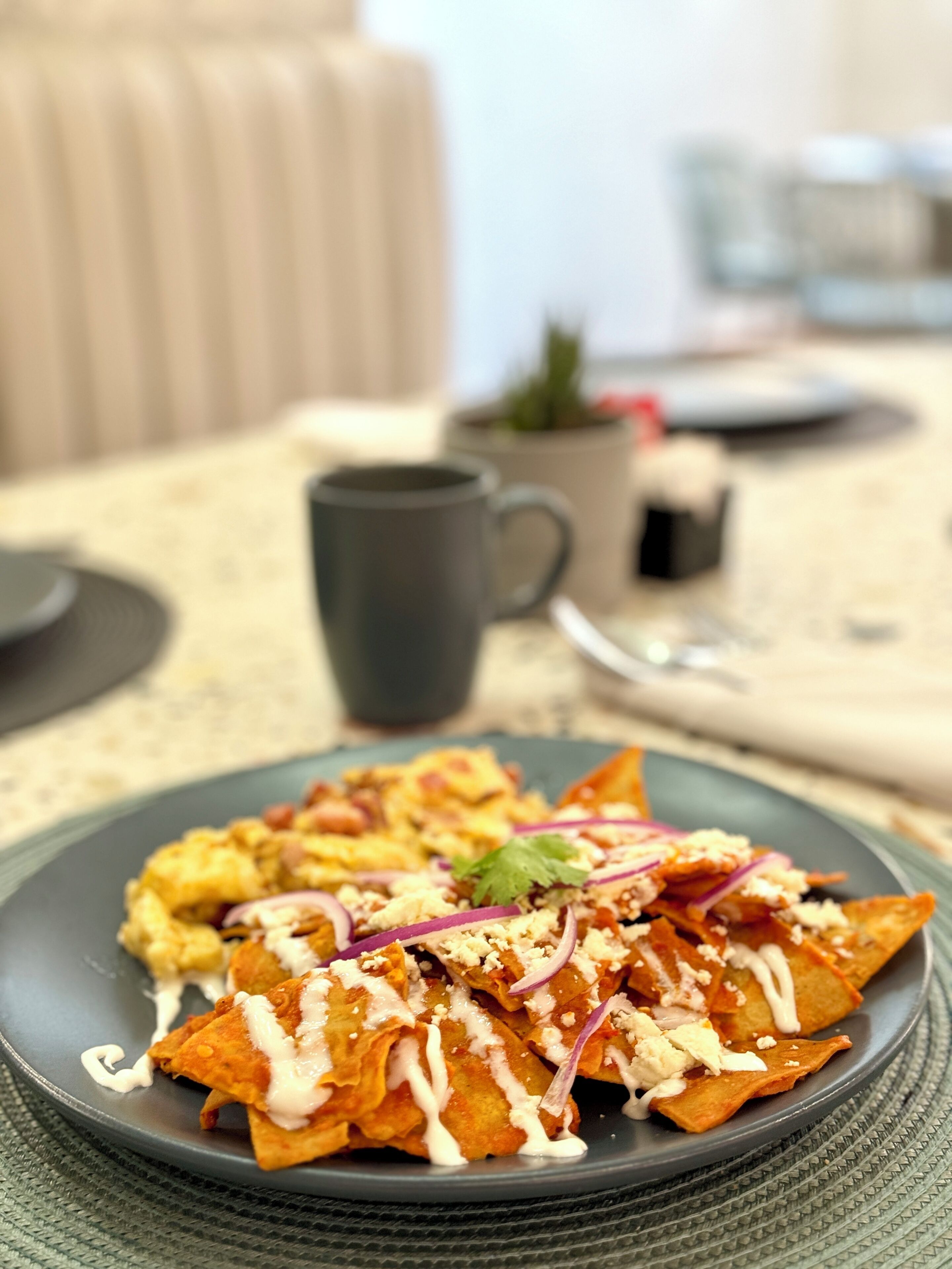 Um prato de nachos com acompanhamentos, uma caneca cinza e uma planta em vasos ao fundo.