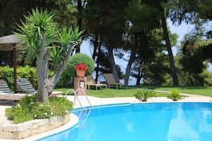 Piscina com borda de pedra, espreguiçadeiras e um pequeno jardim com uma árvore e um vaso de flores.