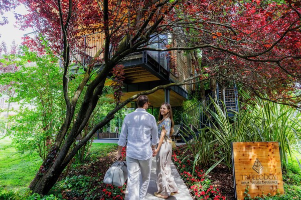 Treelodgy - Riva del Garda