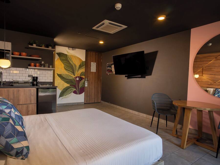 Quarto de hotel moderno com cama, pequena escrivaninha, cadeira, televisão, área de cozinha e uma grande planta.