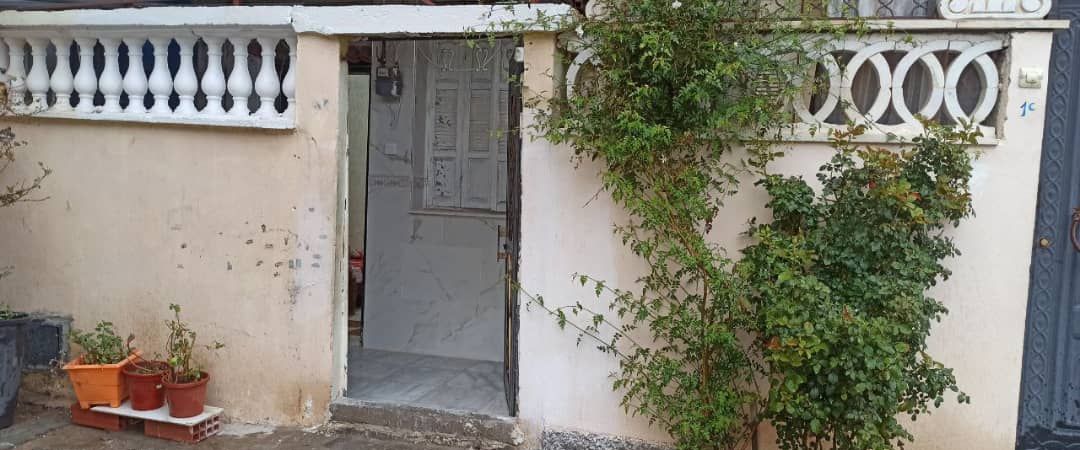 Um edifício residencial com fachada branca, porta e um pequeno jardim com plantas em vasos.