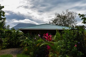 Cabana de Madeira Panorâmica, 1 quarto, vista para a montanha (Tucan Room) | Vista do quarto