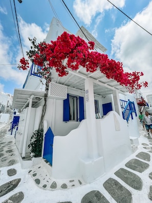 Fachada da propriedade