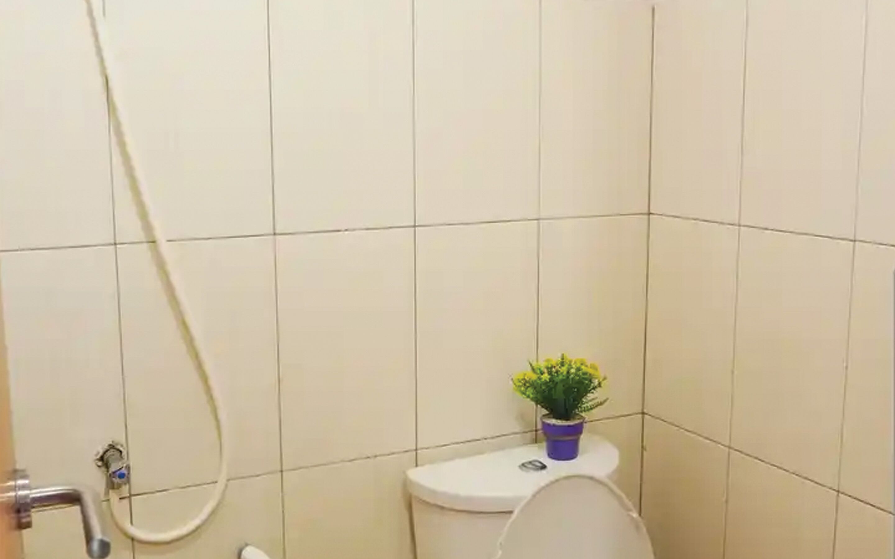 Casa de banho pequena com sanita, chuveiro e uma planta num vaso.