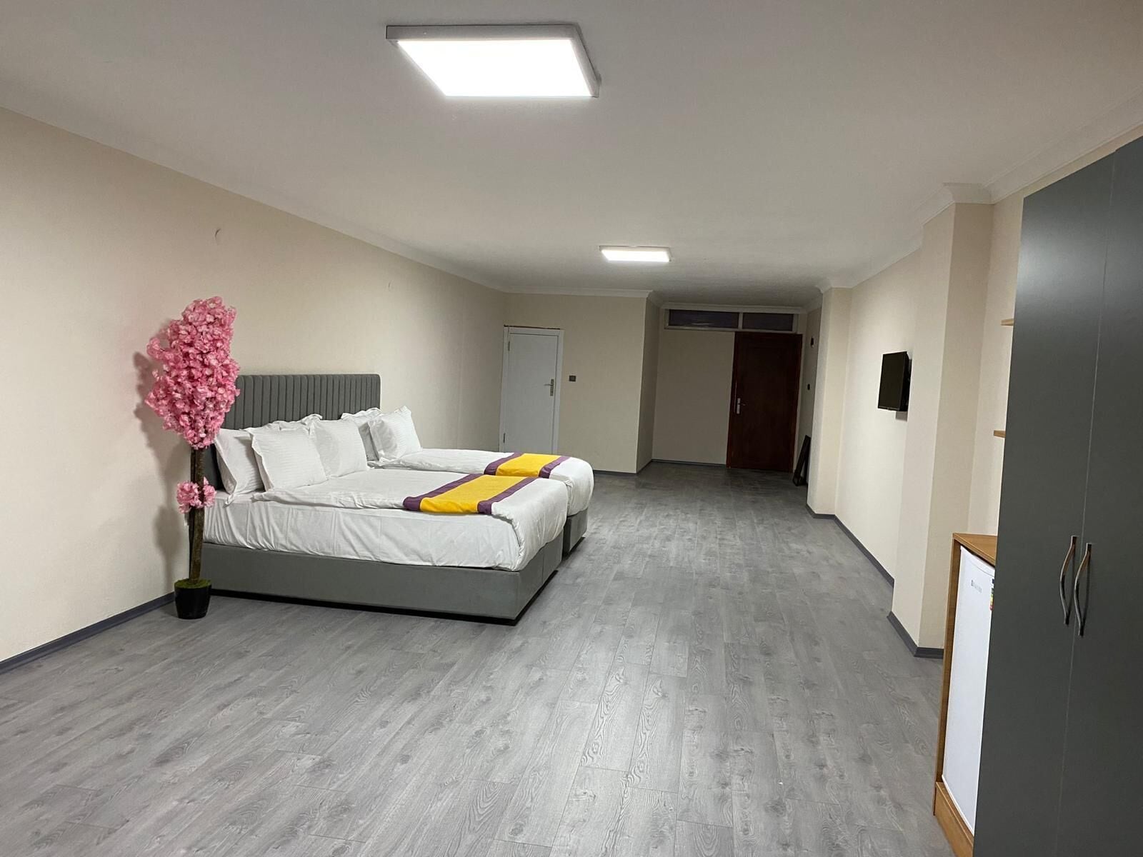 Quarto