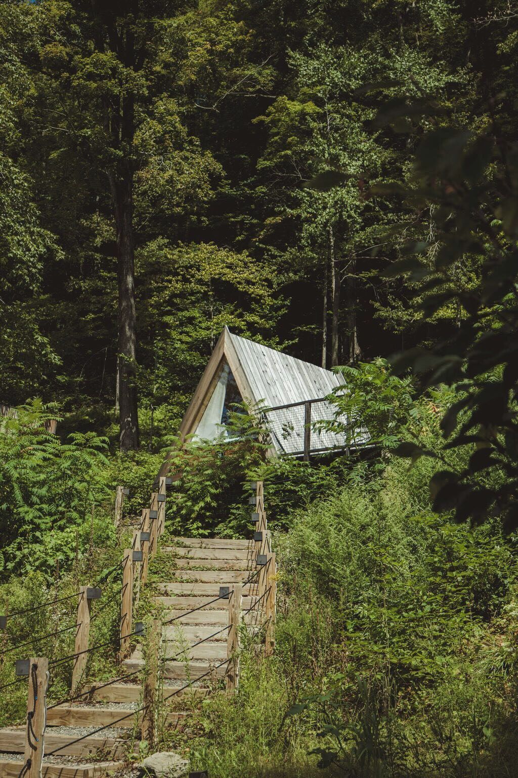 Escada de madeira que leva a uma cabana pequena com telhado triangular, cercada por floresta densa.