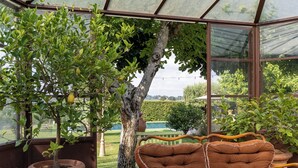 Uma estufa com área de estar acolchoada, uma limoeiro em vaso e vista para um jardim bem cuidado.