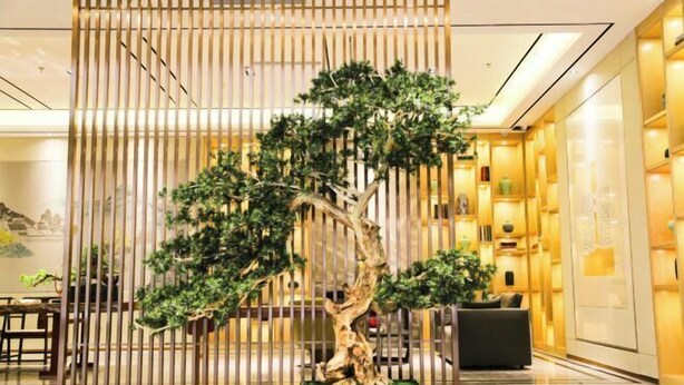 Um lobby moderno com uma grande árvore bonsai como peça central, uma área de estar e uma vitrine de itens decorativos.