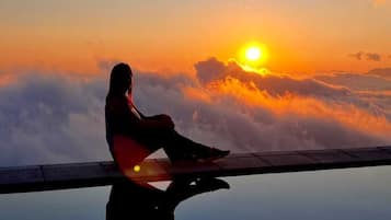 Terraço/pátio interior